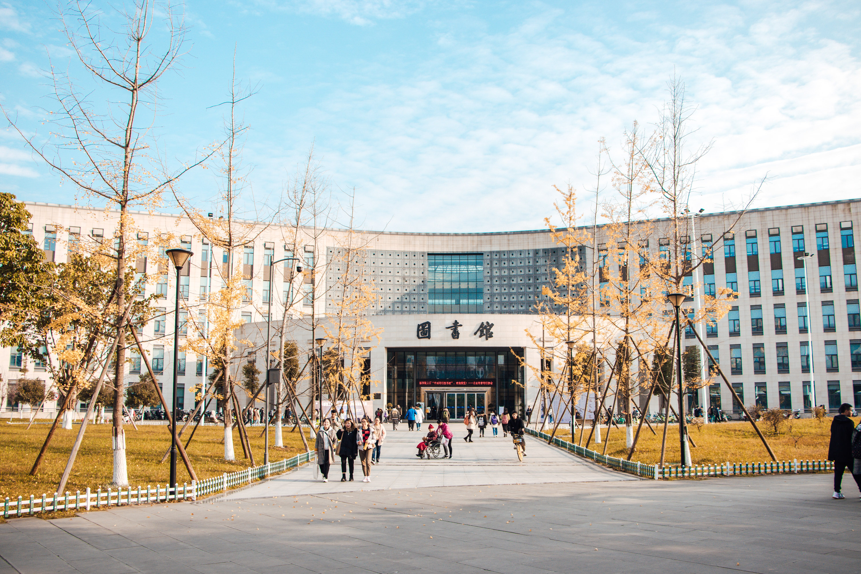 银杏-成都理工大学影像网