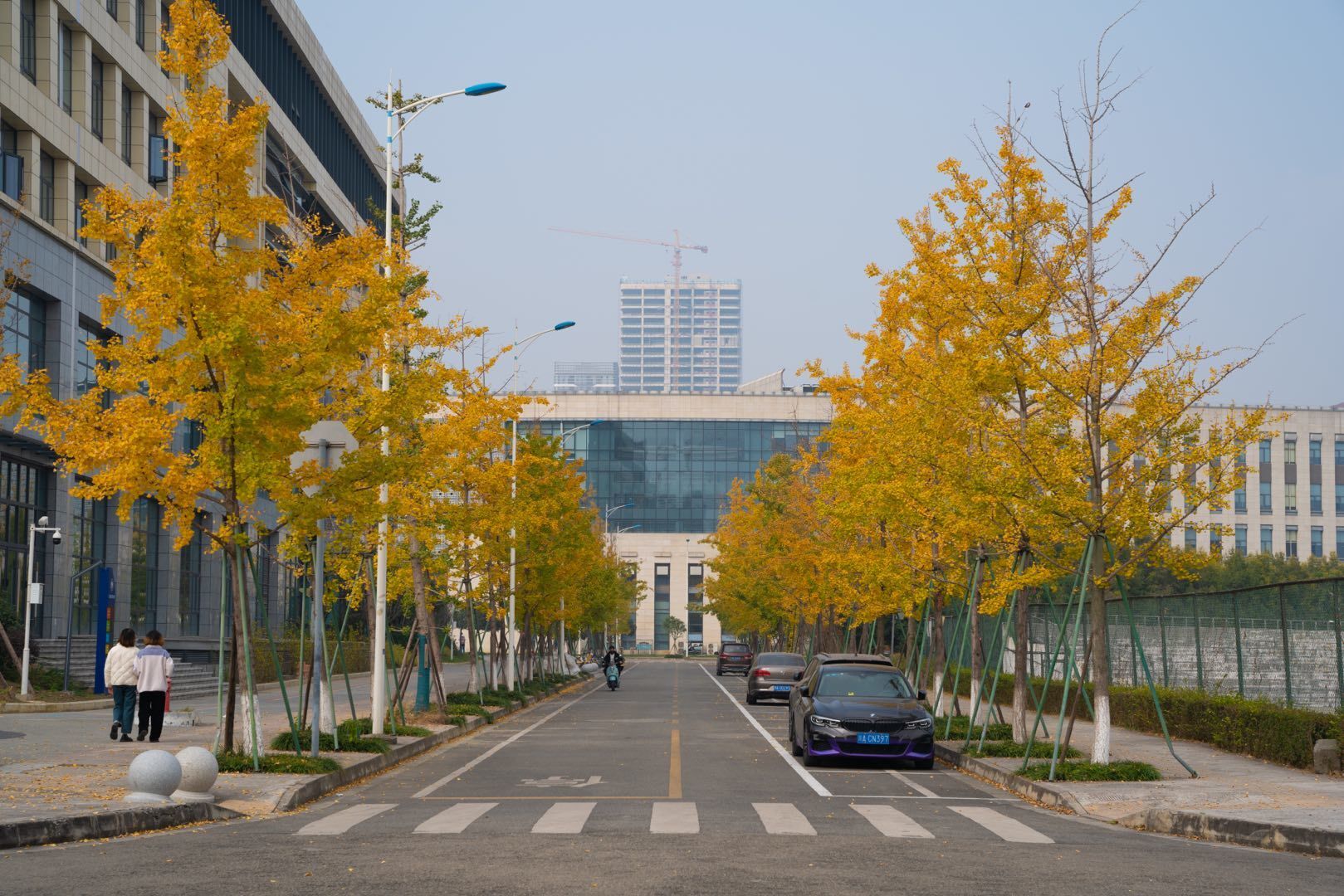 银杏-成都理工大学影像网